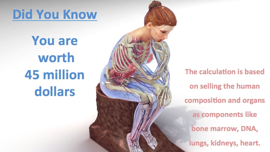 How Much Are You Worth Scientific Animations How Much Are You Worth Scientific Animations