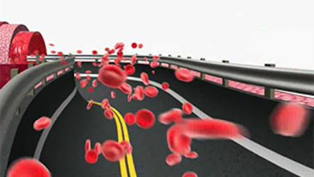 The Arterial Highway - Scientific Animations