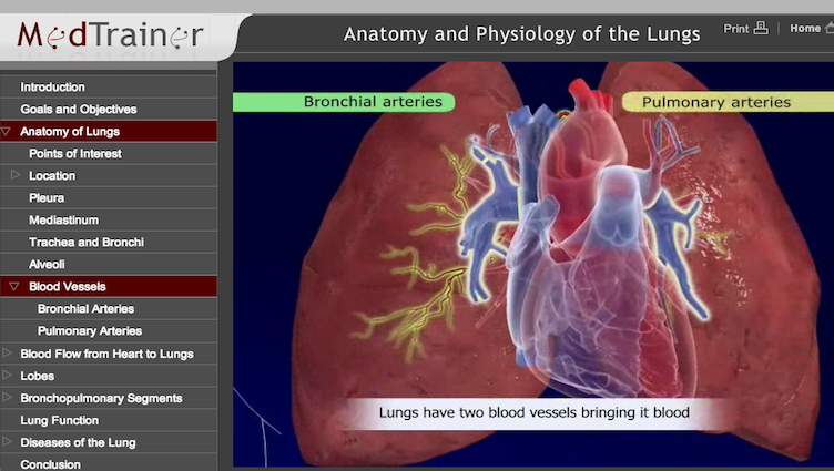 MedBasics Lungs - Scientific Animations