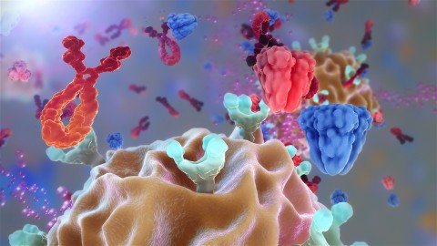 Cells with Binding Receptors - HD - Scientific Animations