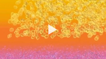 Cosmetic S2 - Fat / Adipose Tissue - Scientific Animations