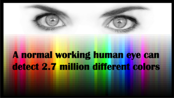 Colors a human eye can detect - Scientific Animations