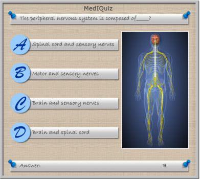 Peripheral nervous system-MedIQuiz-Q58 - Scientific Animations