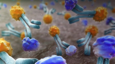 Protein produced by the body’s immune system ? - Scientific Animations