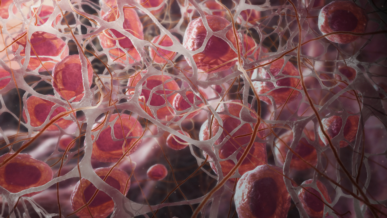 Image Gallery - Scientific Animations