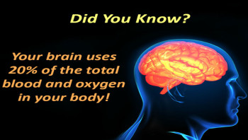 Lack of oxygen in the brain - Scientific Animations
