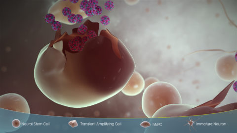 Explaining the science of the Zika Virus in stunning 3D