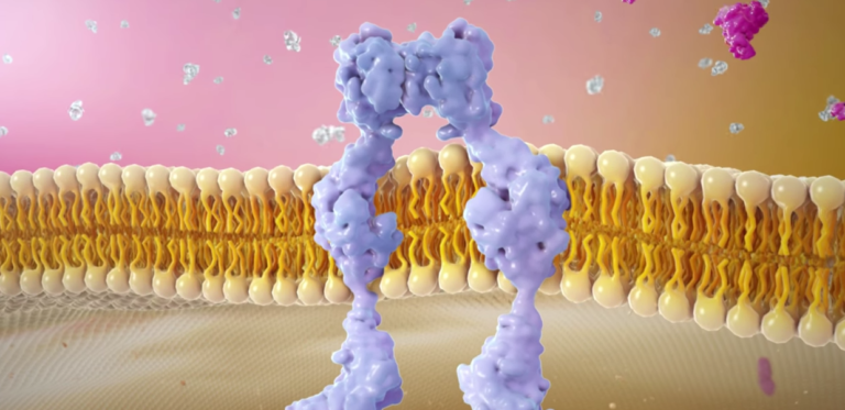 Dr. Greger's Insulin Resistance NutritionFacts.org - Scientific Animations