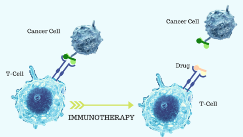 Is Cell-based Immunotherapy a realistic prospect to treat Cancer ...