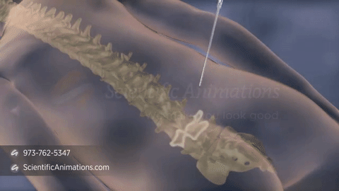 7 health risks - Scientific Animations