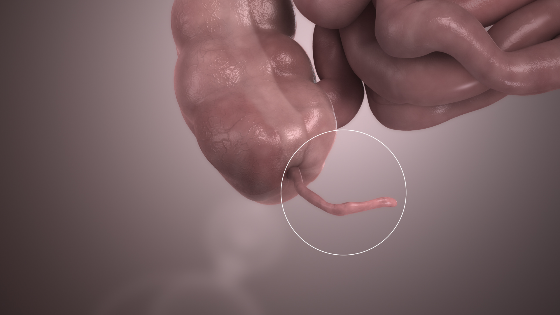 Appendix Example Images 017 Appendices Example In Research Paper Apa 