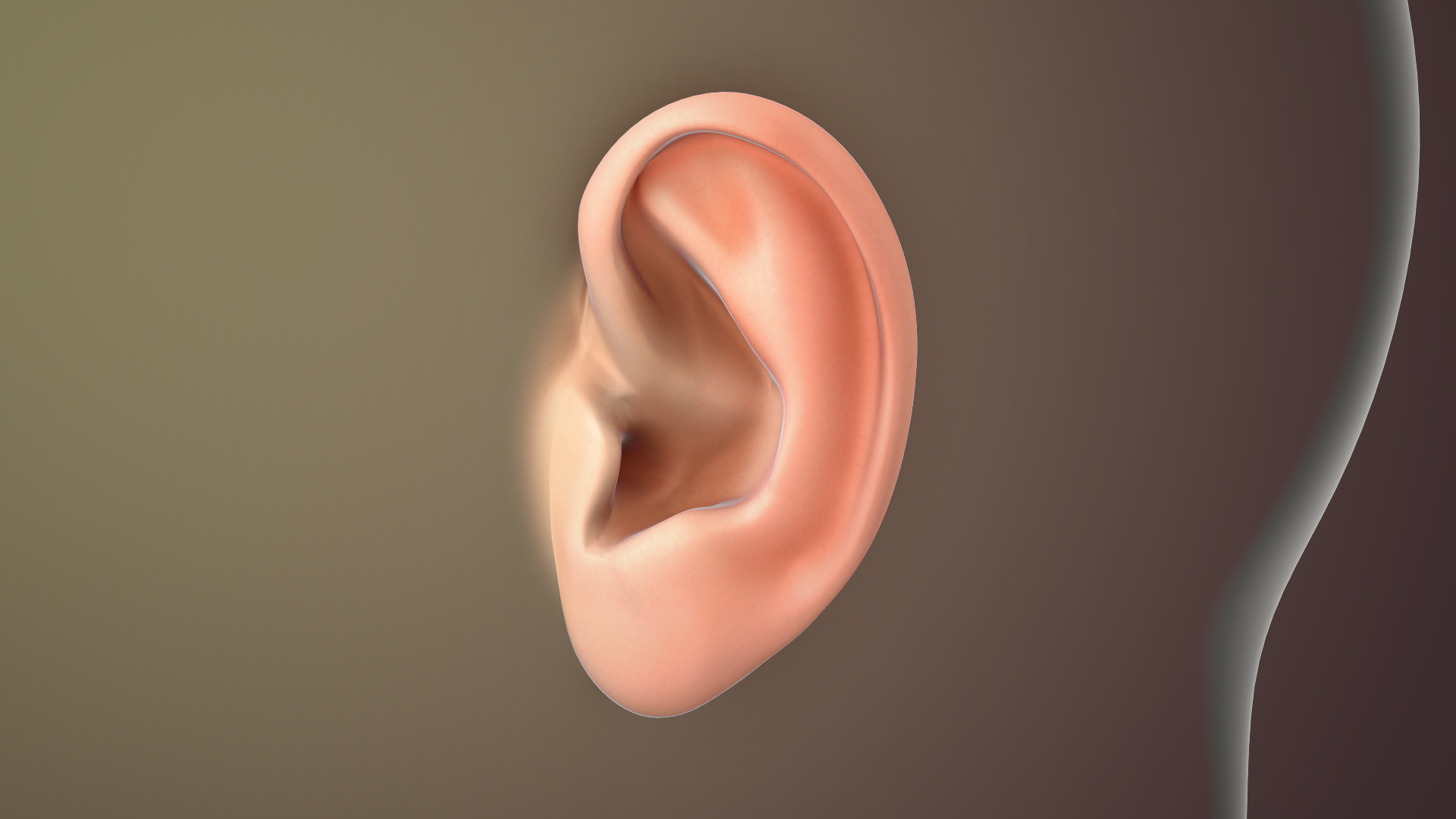 Ear: Function and related Conditions - Scientific Animations Ear: Function and related Conditions - Scientific Animations