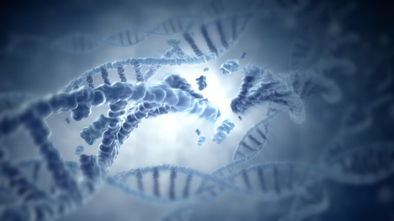 Image Gallery - Scientific Animations