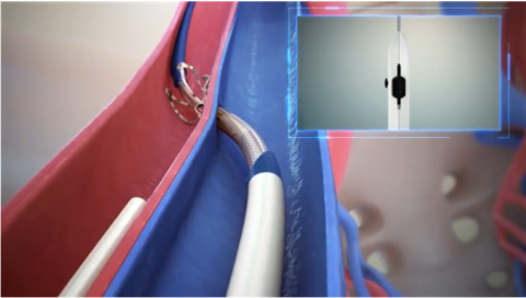 Image Gallery - Scientific Animations