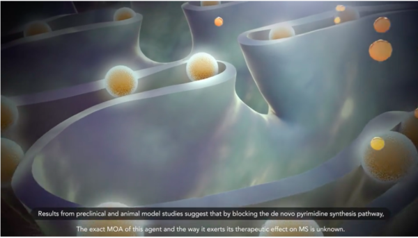 B26 MS Oral Immunomodulator Showcase - Scientific Animations
